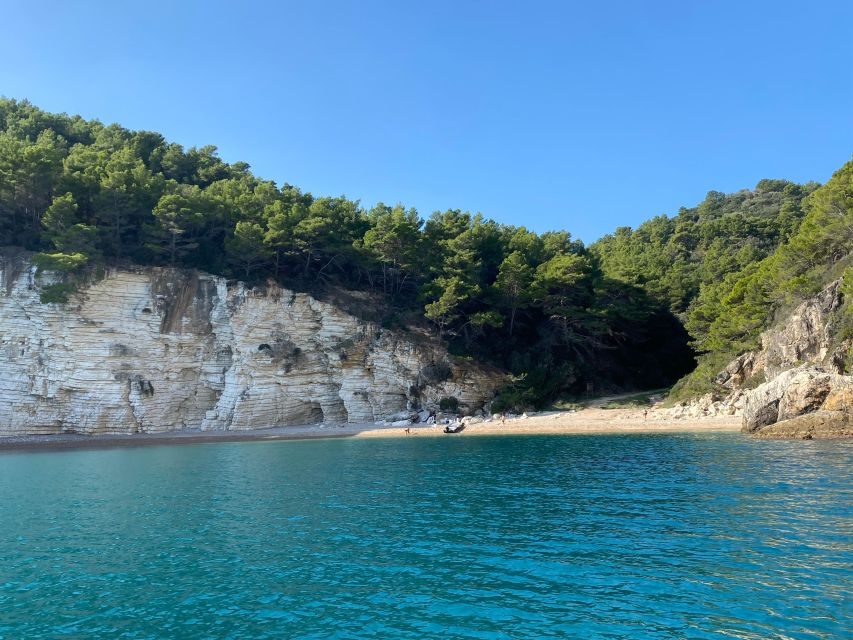Vieste: Boat tour of the Gargano coast - Analyzing the Value