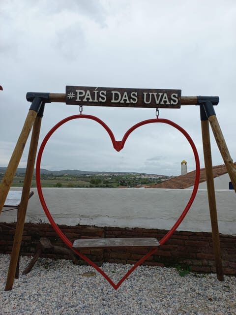 Vila de Frades: Talha Wine Tour with Tastings - The Value of This Tour