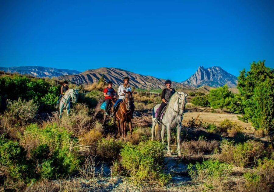 Villajoyosa:2-hour Horseback Riding Tour - What to Expect on the Trail