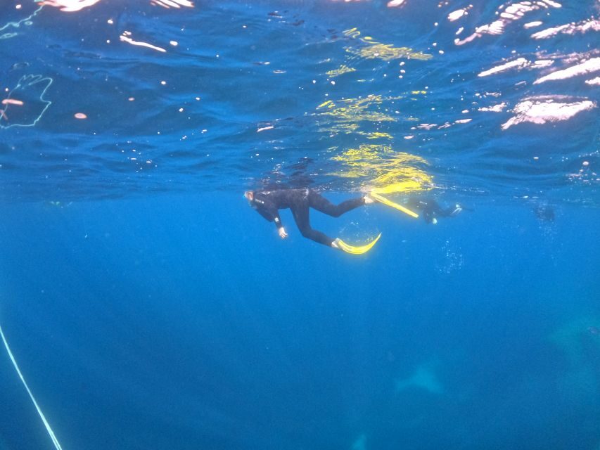Villasimius: Snorkeling Tour in Capo Carbonara - What Are the Highlights of the Tour?