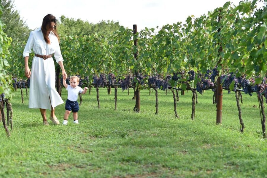 Vineyard Escape, Walk, Lunch and Wine Tasting - The Real Value of This Experience