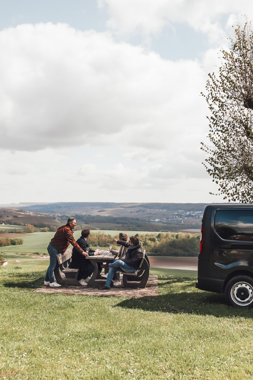 Vineyard tour and Tasting with Champagne Ludovic David - Key Points