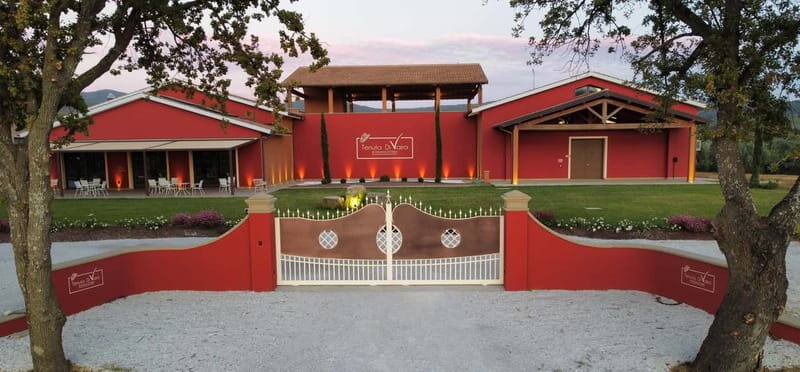 Visit and wine tasting in the heart of the Bolgheri Doc - What to Expect at the Wine Tour and Tasting