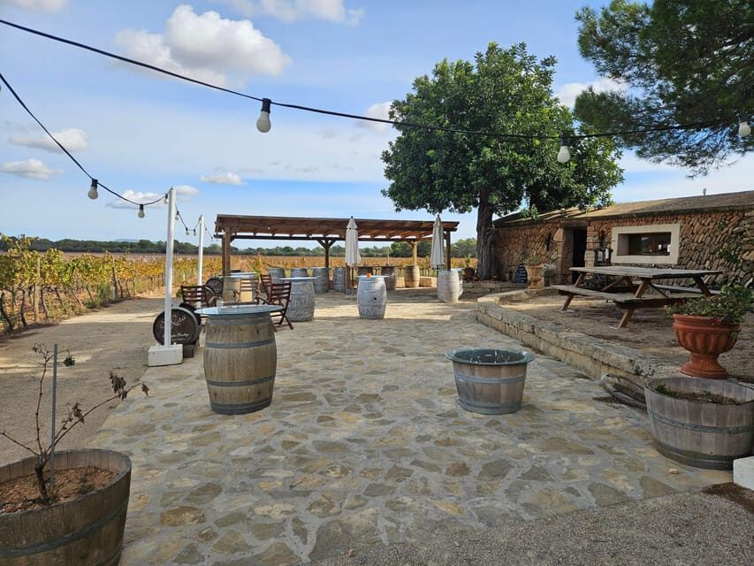 VISIT BODEGAS BORDOY ,DEGUSTACION 5 WINES, FINGER FOOD - What Makes This Tour Stand Out