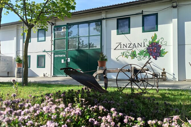 Visit of the Winemaker with Tasting of Typical Products in Faenza - Key Points