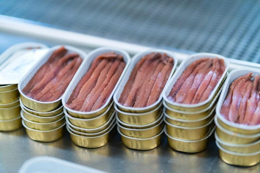 Visit the factory of the Best Anchovies, Santoña, personalized in Spanish - The Itinerary in Detail