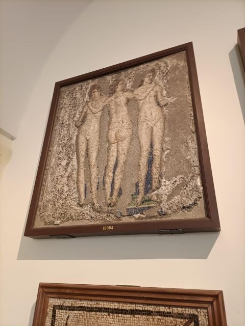 Visit the Museum MANN with a professional guide - Who Should Consider This Tour?