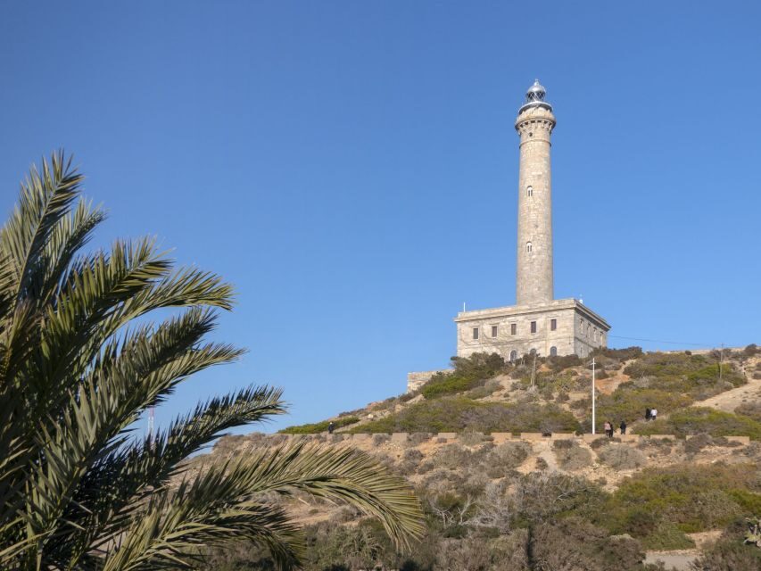 Visit the Palos Faro - Who Will Love This Tour?