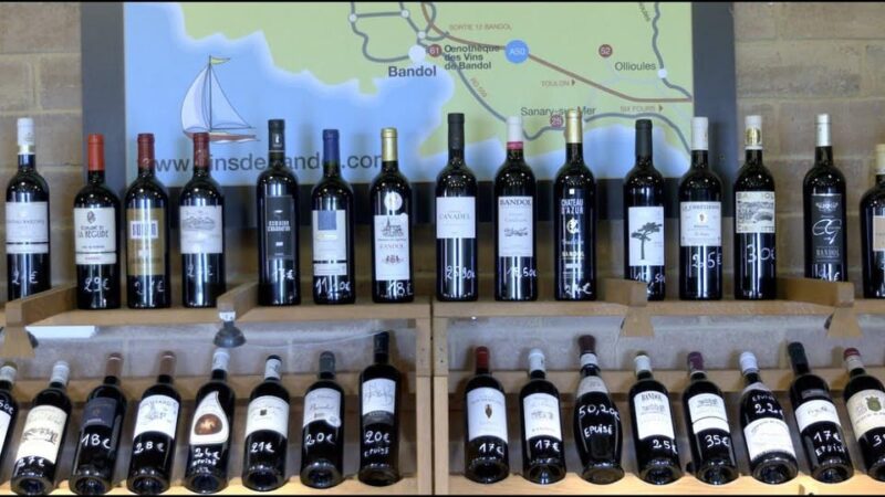 Visit the vineyards and discover Bandol wines - Key Points