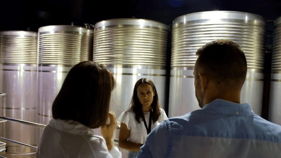 Visit to the Adegas Valmiñor winery and tasting - A Detailed Look at the Adegas Valmiñor Experience