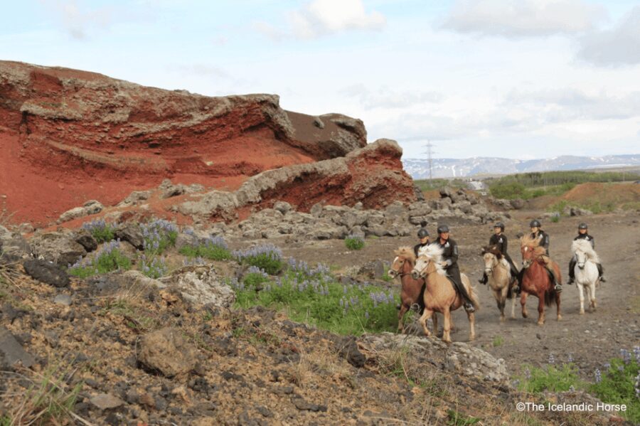 Volcanic Landscape Iceland Horse Riding Tours - The Scenic Route: Volcanoes, Glaciers, and Mountains