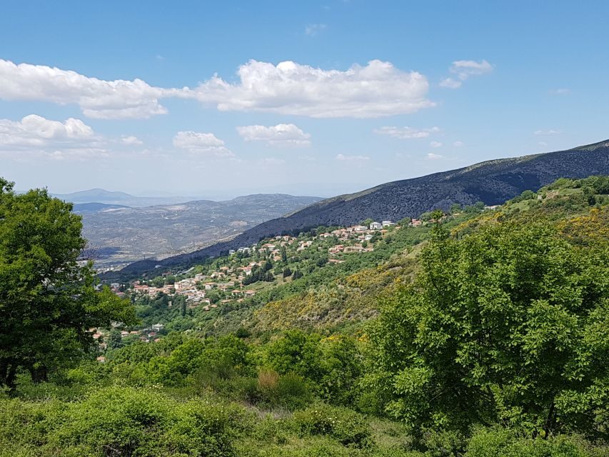 Volos: Cook Like a Local at a Greek Farm - Meeting and Location