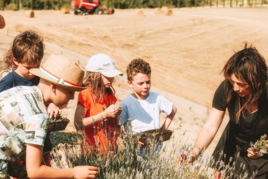 Volterra: Family-Friendly Herbal Laboratory Workshop - Why We Love This Experience