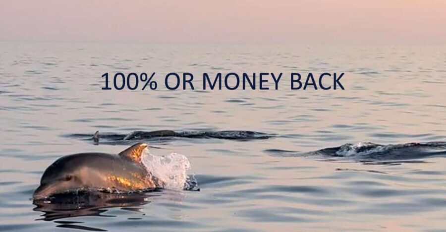 Vrsar: Dolphin Sunrise Adventure with Speedboat - Comparing Similar Experiences