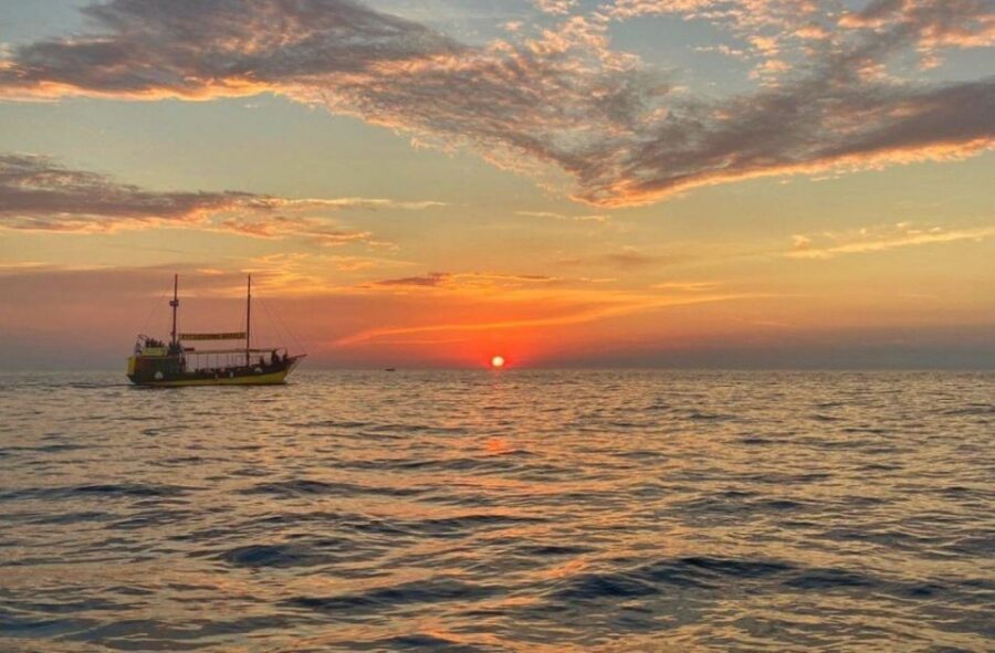 Vrsar: Dolphin Watching Boat Tour including Drinks - The Itinerary: What to Expect from Start to Finish