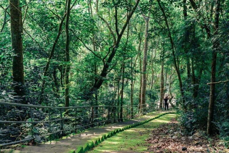 Vung Tau Beach City, Mui Ne Sand Dunes Private 2 Days Tour - Key Points