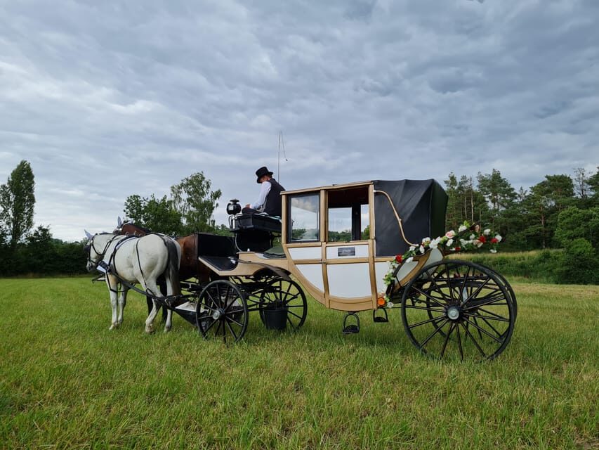 Wachau porcelain carriage A sparkling carriage ride through the vineyards - What to Expect on Your Carriage Ride