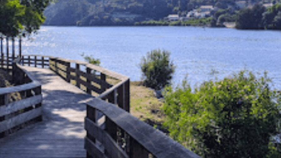 Walk with strangers - Douro Landscapes - What Makes This Walk Stand Out?