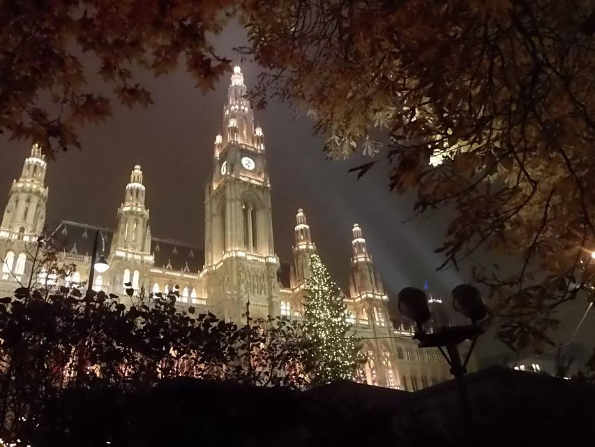 Walking on the historical trail of Viennese Christmas Trees - An In-Depth Look at the Tour Experience