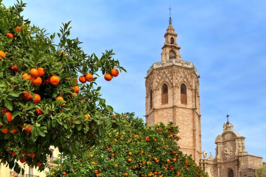 Walking Tour through Valencia's Historic Centre - Cultural Insights & Local Legends