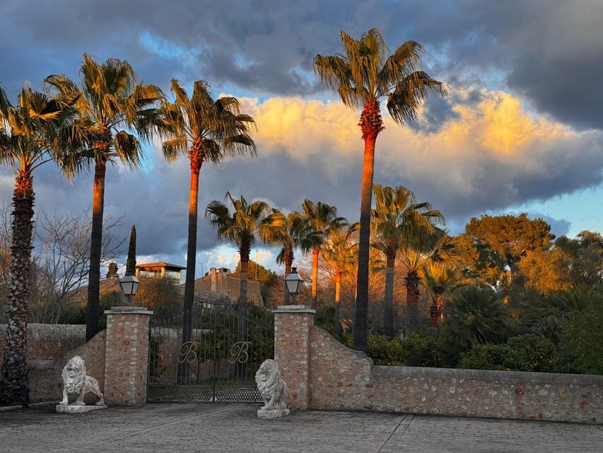 Weinsonntag auf Mallorca - The Day’s Breakdown: What To Expect