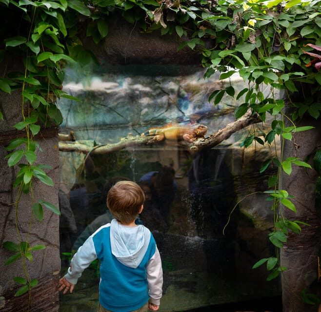 West Berkshire,UK: The Living Rainforest Centre Entry Ticket - Who Will Love This Experience?