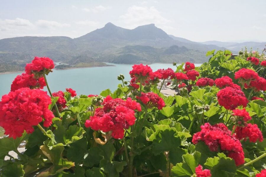 White Villages & Ronda 2-Days Trip & Overnight Stay - Zahara de la Sierra: Picturesque and Charming