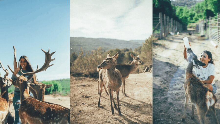 Wild Forest Reserve Foundation - Visit - Who’s This Tour Best For?