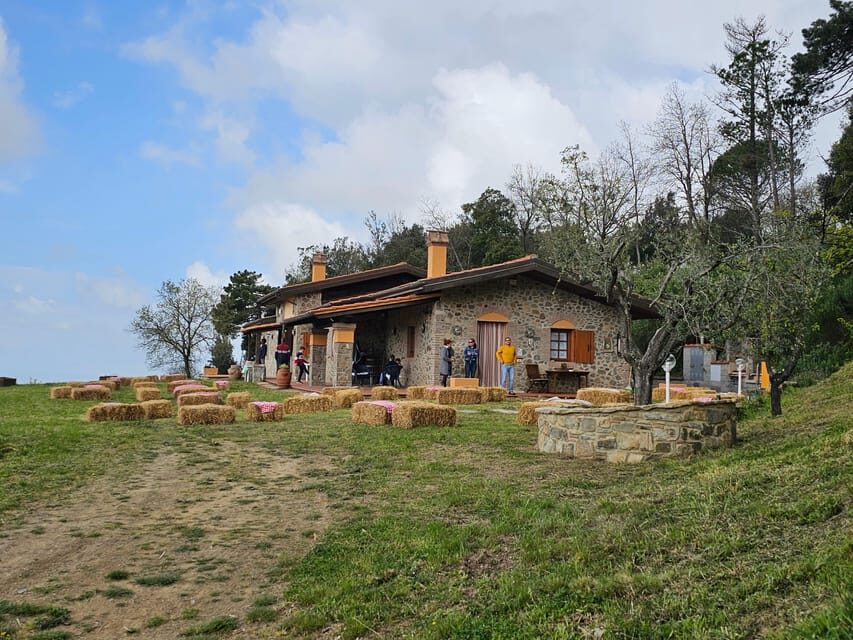 Win near Florence lunch or dinner in a traditional Tuscan farmhouse - What Makes This Tour Stand Out