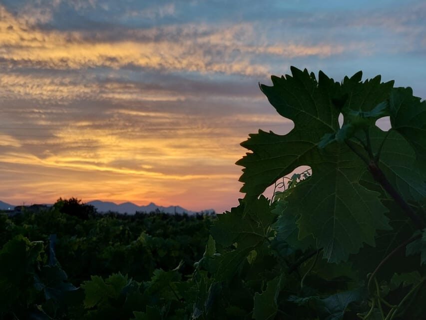 Wine and food at sunset - What Makes This Tour Special
