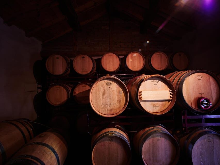 Wine and Food Pairing Tasting Las dos Antiguas- Bodega Artesanal Segovia - Itinerary Breakdown