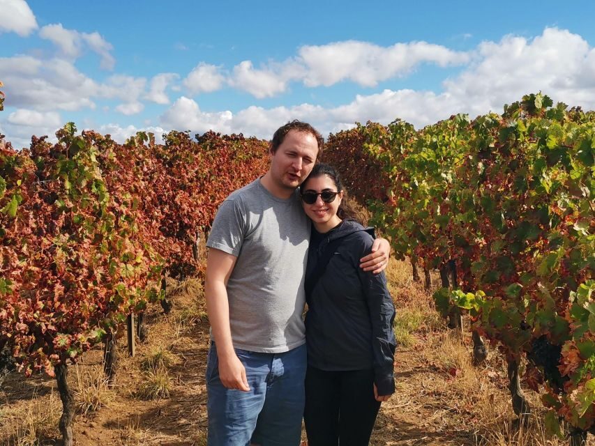 Wine , Roman Temple and Bone Chapel in half-day private tour - Is This Tour Worth the Price?
