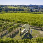Wine Tasting and Food Pairings in Langhe and near Alba - Who Will Love This Tour