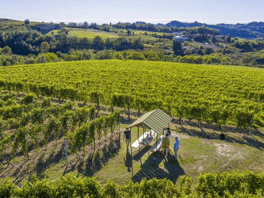 Wine Tasting and Food Pairings in Langhe and near Alba - Who Will Love This Tour
