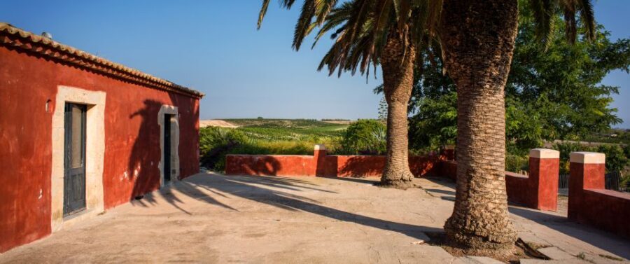 Wine Tasting and Typical Tastings in the Val di Noto - The Tasting Experience