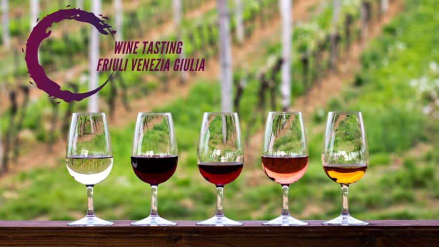 Wine tasting and winery tour in Friuli Venezia Giulia - The Bottom Line