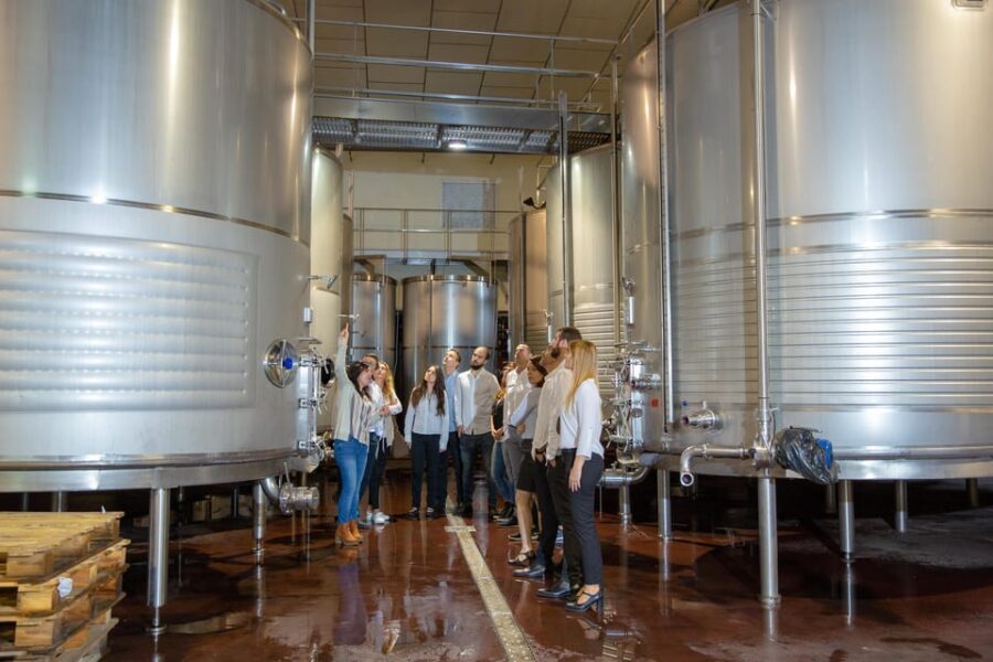 Wine tasting in the best winery in Spain from Alicante - The value of this experience