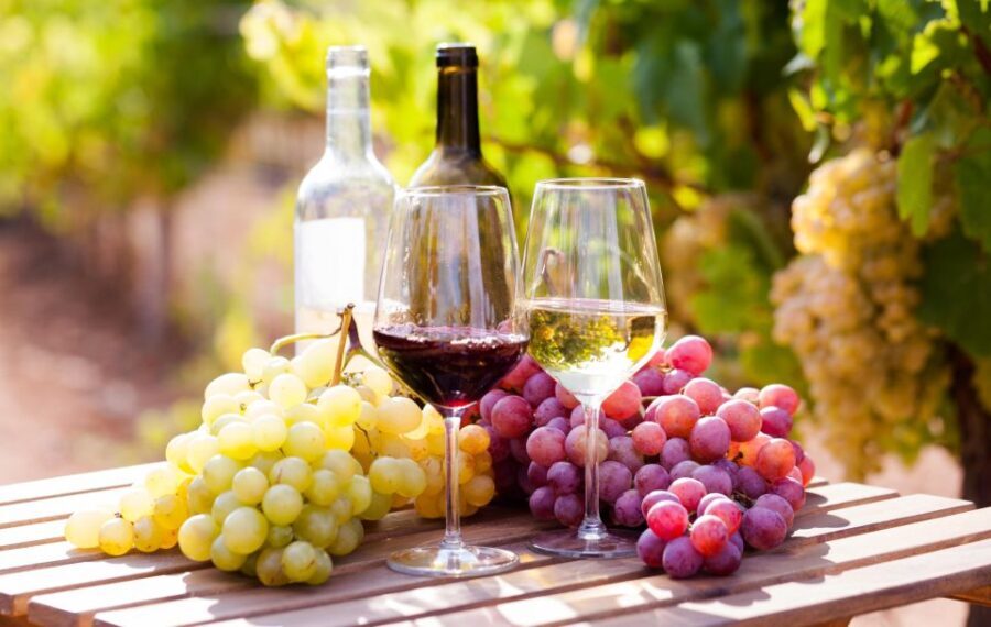 Wine tasting in the Vesuvius National Park - The Value of This Experience