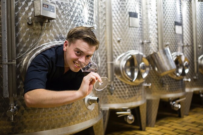 Wine Tasting in the Winery in Kröv - Key Points