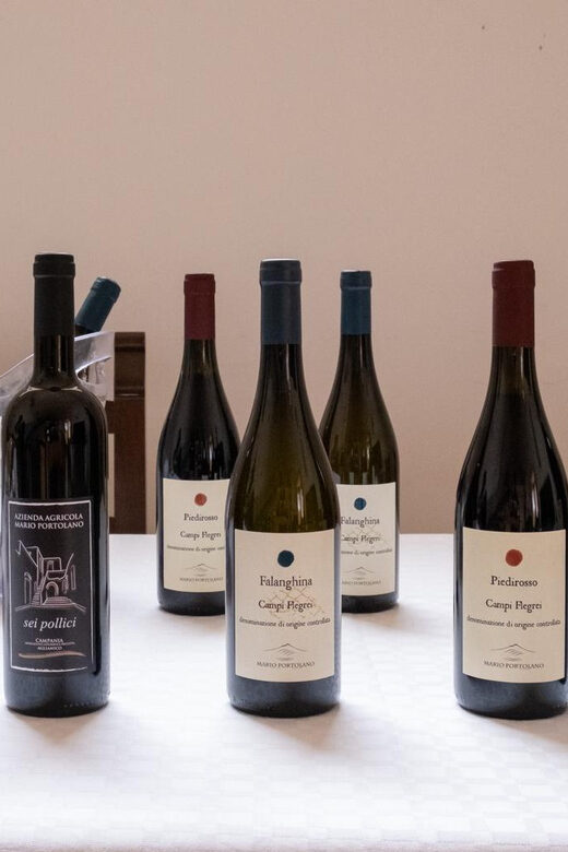 Wine Tasting in Winery from Naples - The Sum Up
