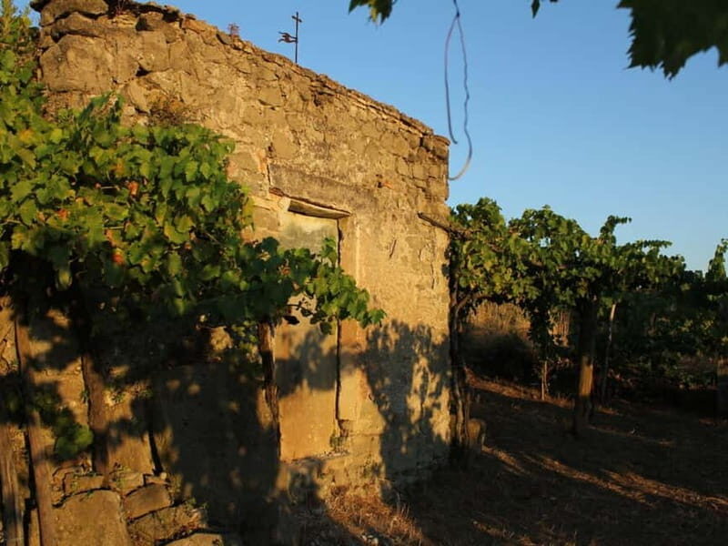 Wine Tasting & Medieval Town Visit at Castelli Romani - Who Will Love This Tour?