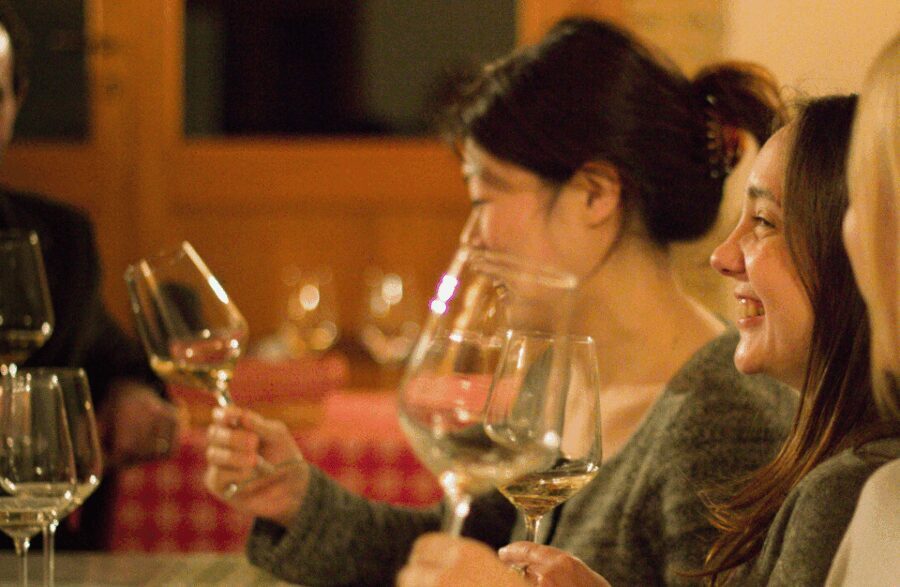 Wine Tasting near the Aquarium of Genoa - The Experience Breakdown