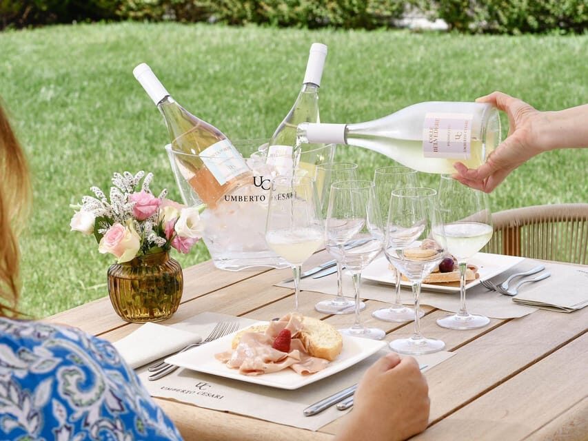 Wine Tasting with Food Pairing near Bologna - Introduction: Discover Emilia-Romagna’s Flavors in a Sip and Bite