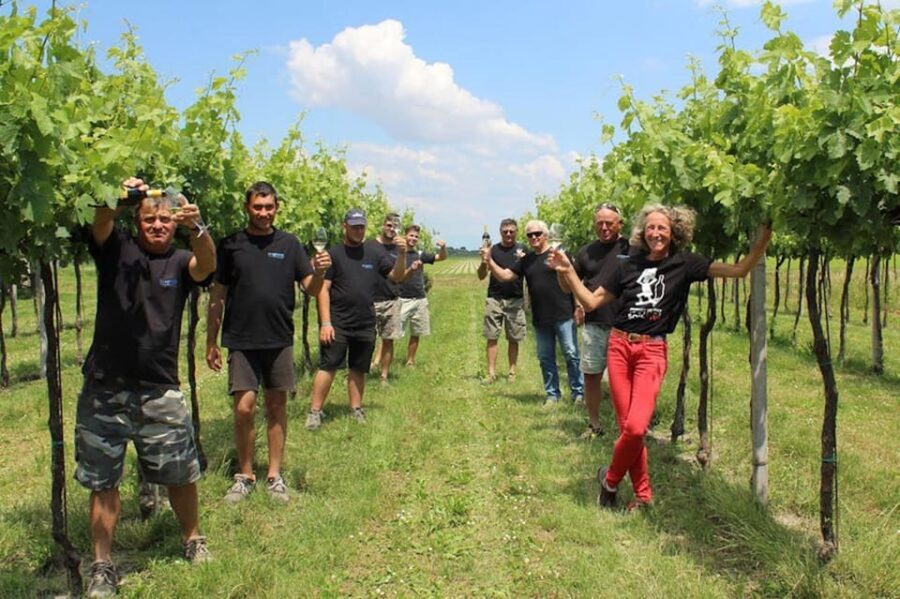 Wine Tour in the Hemingway lands close to Caorle Lagoon - Who Is This Tour Best For?