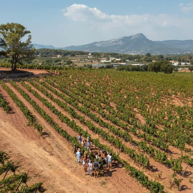 Wine tour - Le Pradet - Key Points