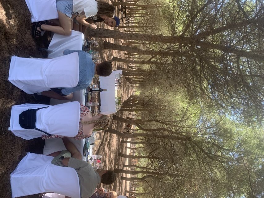 Wine Tour through the vineyards with tasting by Salt Lake - What to Expect from the Tour