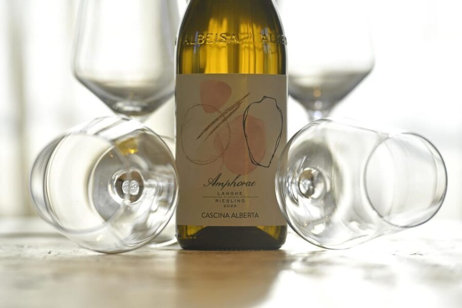 Wine Tour.Visit a Small Organic Winery in the Langhe/Cascina Alberta - Final thoughts: Is this tour right for you?