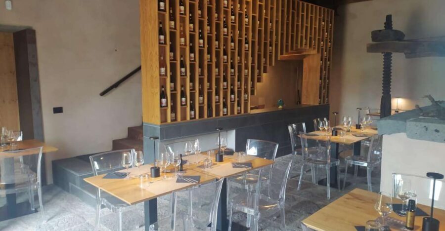 Wine tour with wine tasting - Final Thoughts: Is It Worth It?