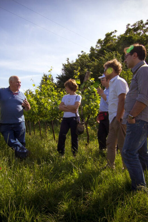 Winery Tour & Tasting on Padua Hills - The Itinerary Breakdown