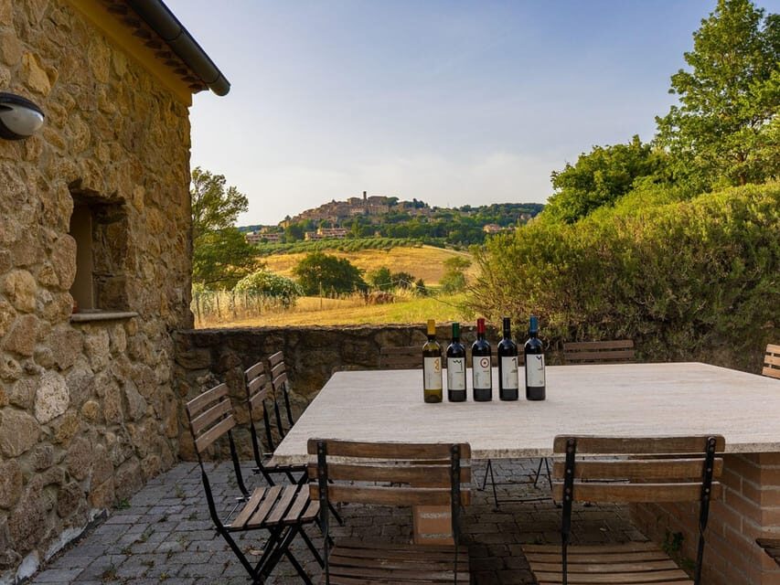 Winery Tour & Wine Tasting with Food near Livorno & Pisa - What Makes This Tour Special?